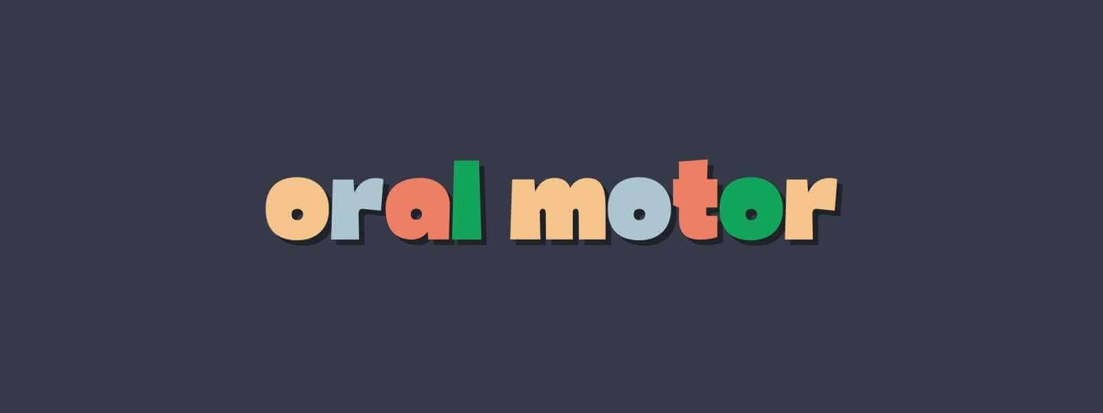Oral Motor Toys — The OT Store