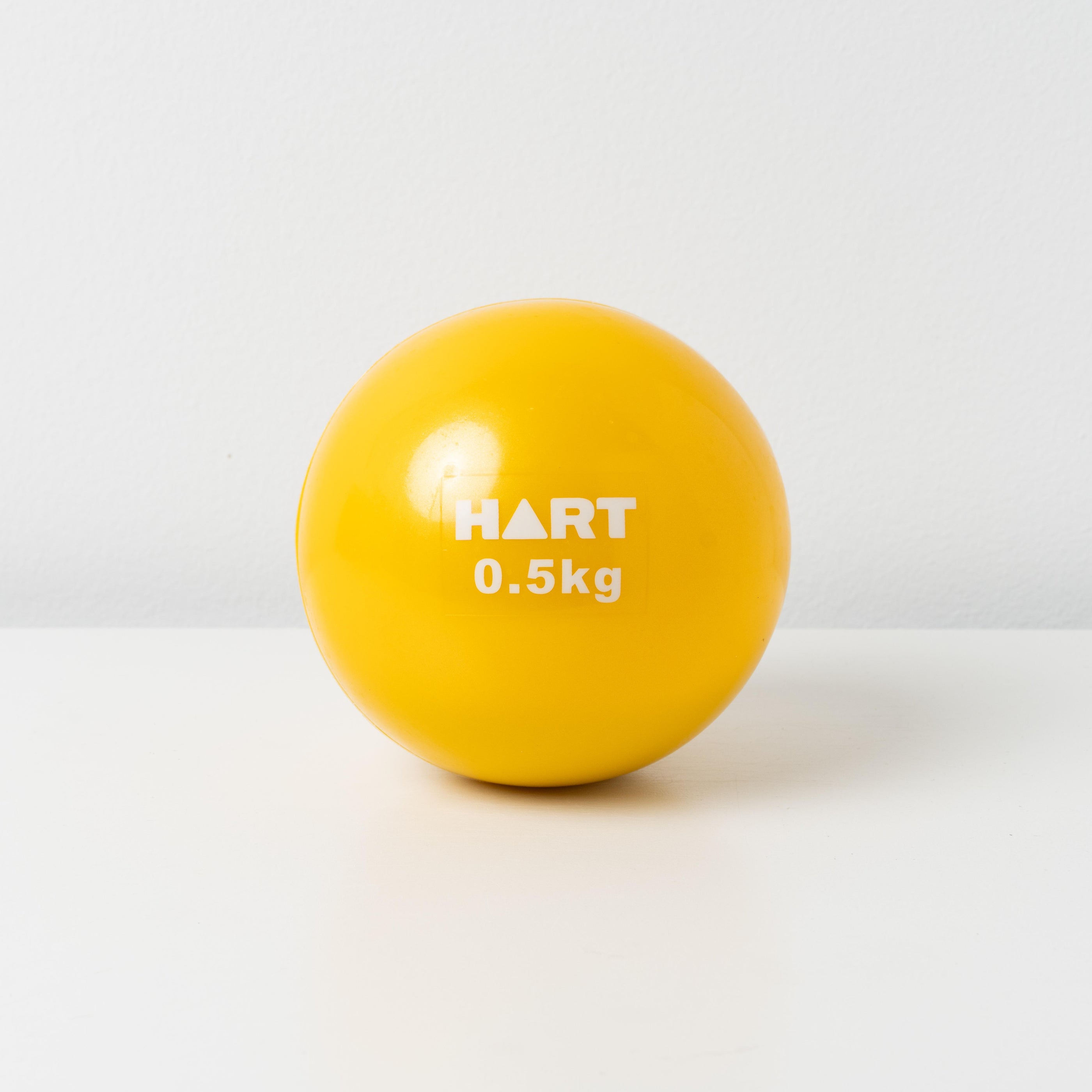 HART Sport Weighted Exercise Balls — The OT Store