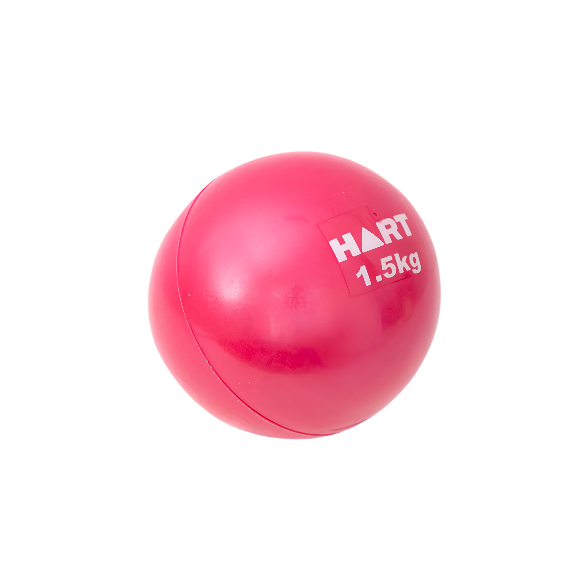 HART Sport Weighted Exercise Balls — The OT Store